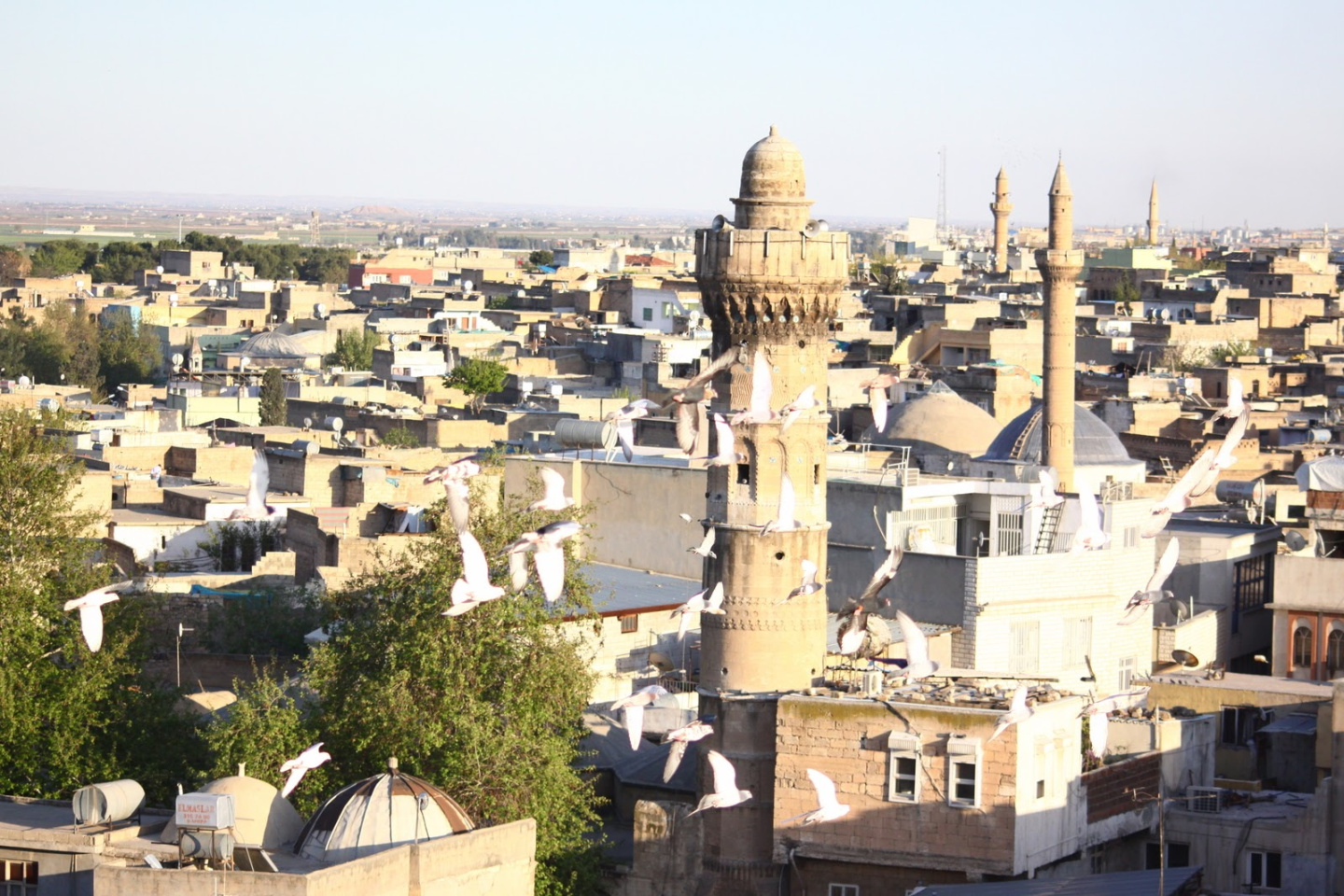 Alison Tanik – Abraham Path